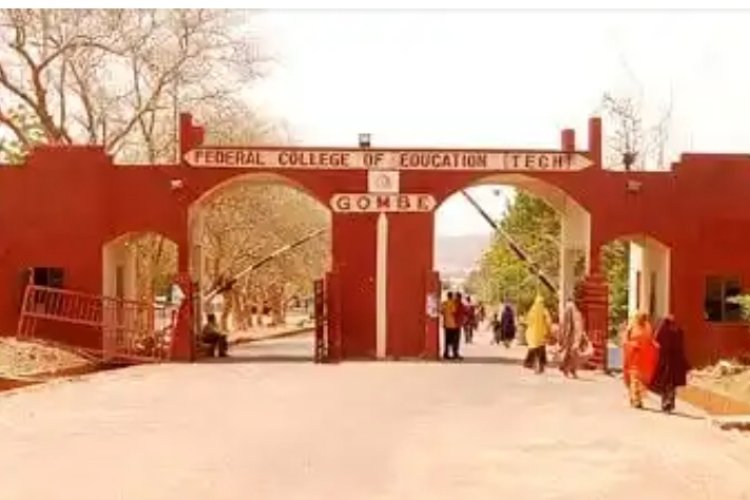 FCE (Tech) Gombe Releases Urgent notice on suspension of student's week ...