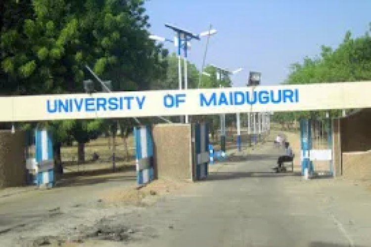 UNIMAID Cut Off Mark 2022/2023 | See University of Maiduguri Cut-off ...