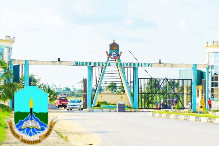 Niger Delta University (NDU) admission form for 2023/2024 session ...
