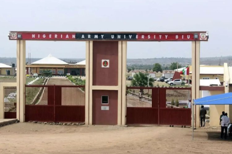 The Nigerian Army University Biu (NAUB) IJMB Admission List 2023/2024 - Myschoolnews