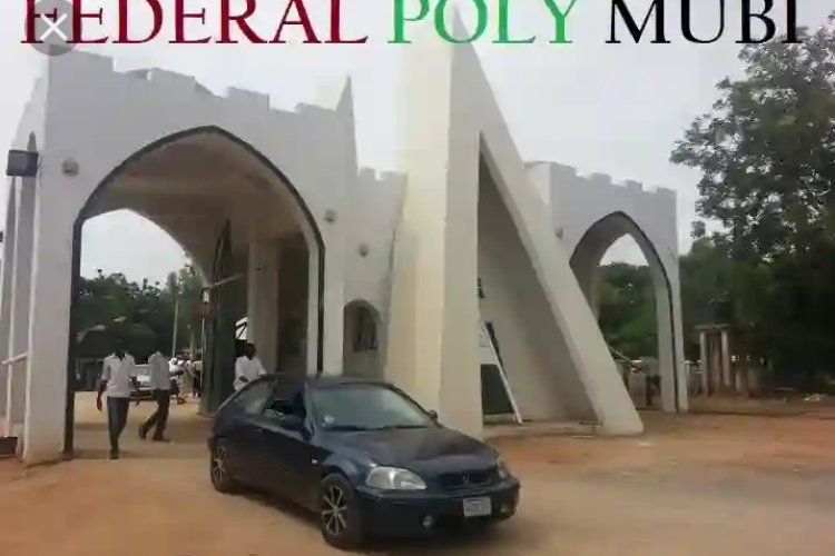 Federal Polytechnic Mubi 2023/2024 Cut Off Mark For All Courses ...