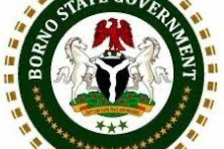 Borno State Scholarship Board announces scholarship for indigenes, 2022 ...