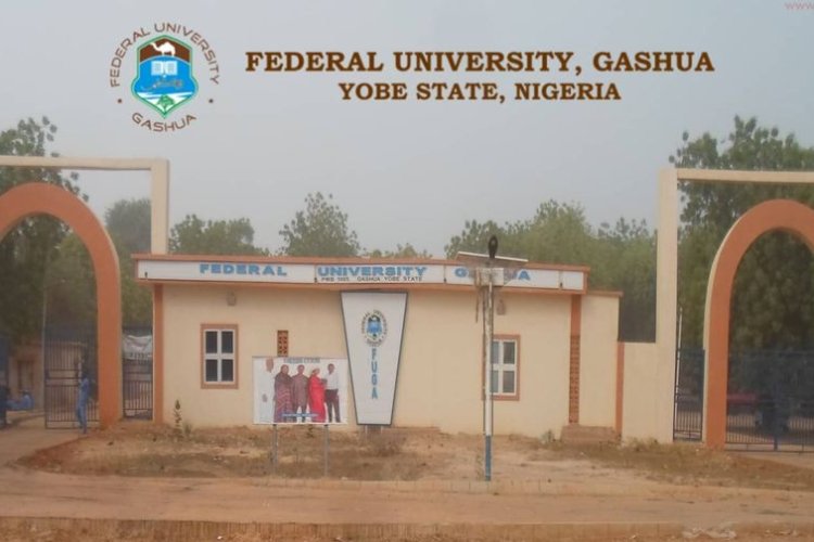 Federal University, Gashua: Your Gateway to Higher Education in 2023/ ...