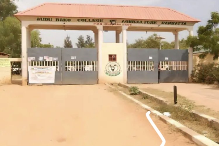 Audu Bako College of Agriculture (ABCOAD) Diploma Admission Form 2023/ ...