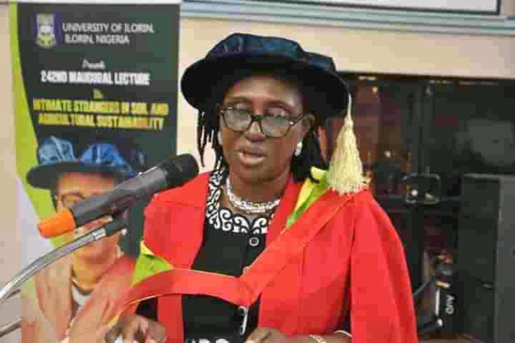 Prof. Oluyemisi B. Fawole Delivers the 242nd Inaugural Lecture at the ...