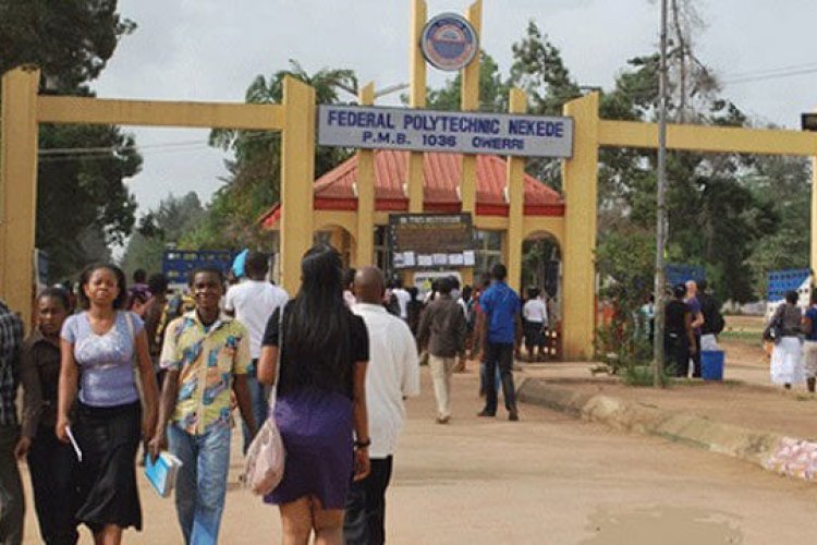Federal Polytechnic Nekede Unveils 2023/2024 ND Evening Admission List ...