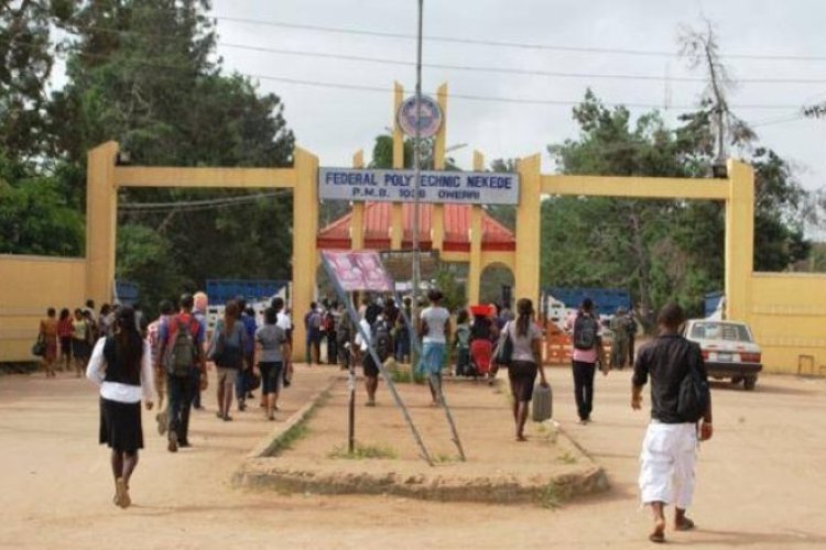 Federal Polytechnic Nekede Releases ND Morning Admission List for 2023/ ...