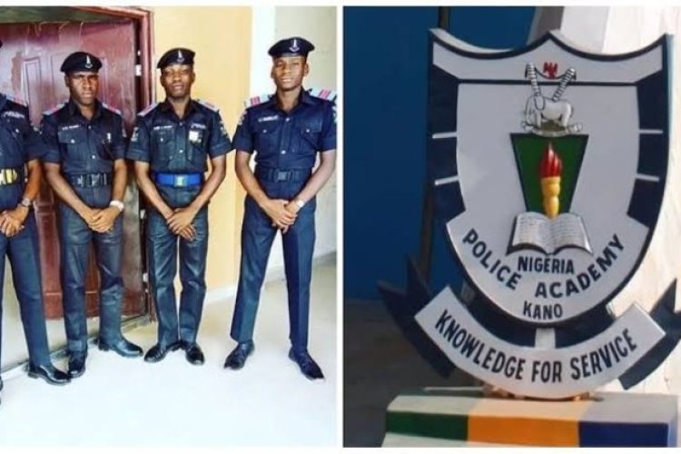 POLAC announces dates for 10th regular course screening process ...