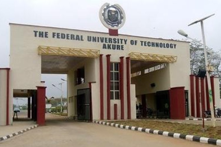 FUTA's 33rd Convocation: 195 Students Excel with First Class Honours - Myschoolnews
