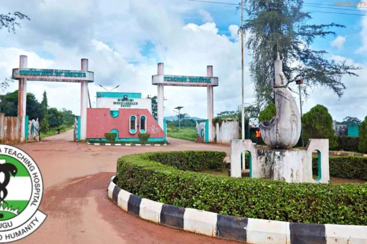 Exploring the Enchanting Learning Environment at the School of Nursing ...