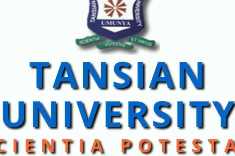 A Peak Into Tansian University's Academic Structure; List Of Available ...