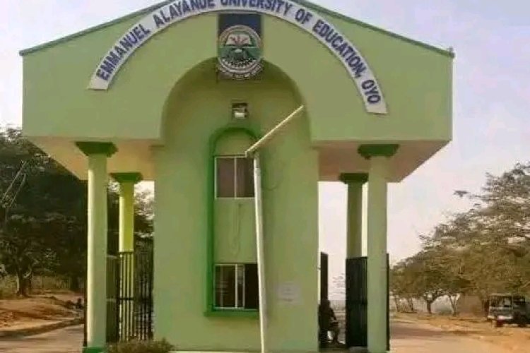 Emmanuel Alayande University of Education Gets NUC Approval for 50 Full ...
