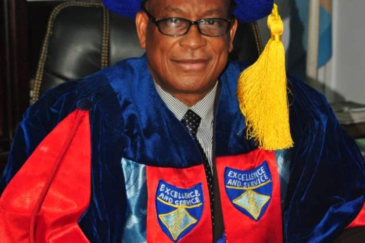 ABSU NURSING STUDENTS SHINE IN NOVEMBER NURSING AND MIDWIFERY COUNCIL ...