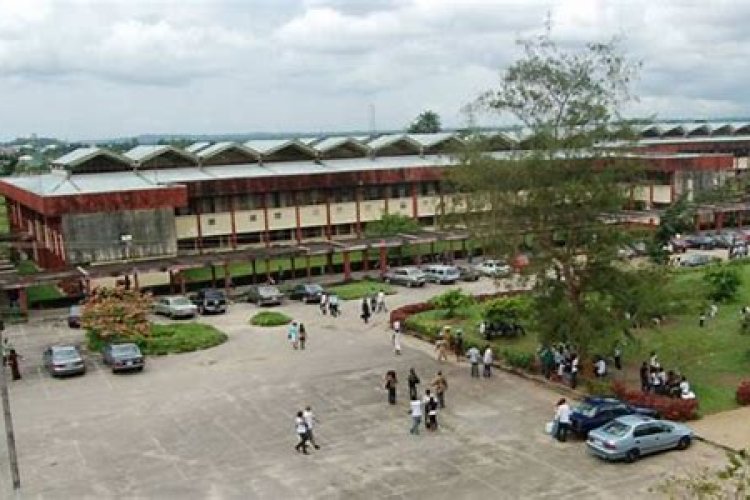 UNIPORT promotes 43 academics to rank of Professor - Myschoolnews