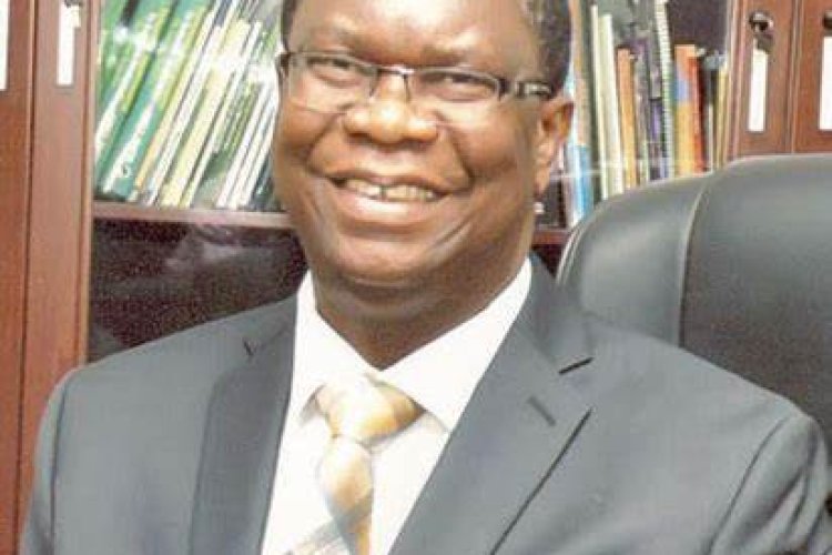 Former UNN VC Urges Federal Government to Patronize Made in Nigeria ...