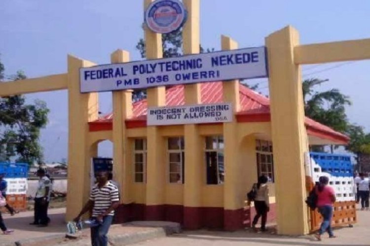 Federal Polytechnic Nekede Set to Host Alpha Woman Conference 2024 ...