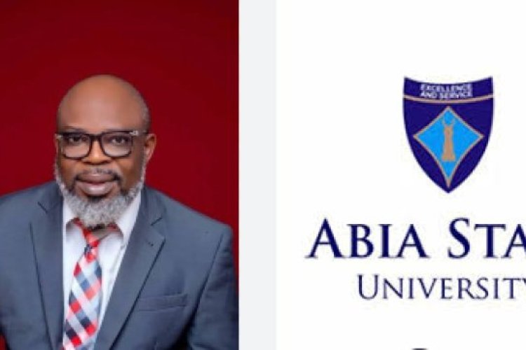 ABSU Deputy Vice Chancellor, Godwin Emezue, Recounts 11-Day Ordeal in ...