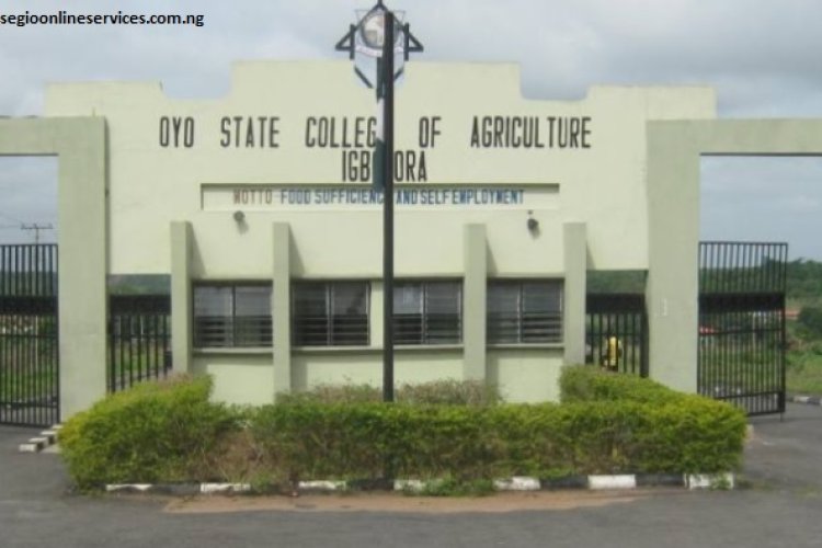 OYSCATECH Set to Launch Degree Programs in Collaboration with Prominent ...