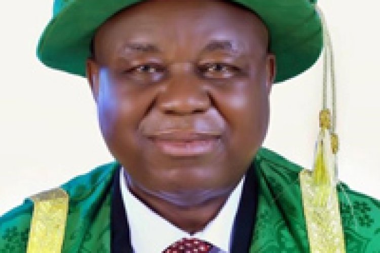 Your Degrees are Visas to Glorious Futures- UNN VC, Prof Charles Igwe ...