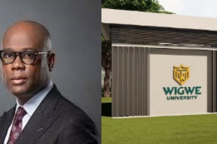 Wigwe University Might Be The Most Expensive Institution In Nigeria ...