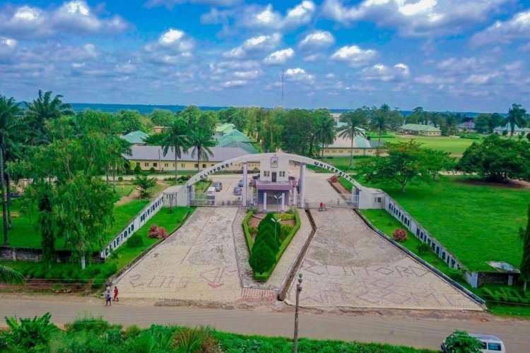 Clifford University Opens Admissions for 2024/2025 Academic Session ...