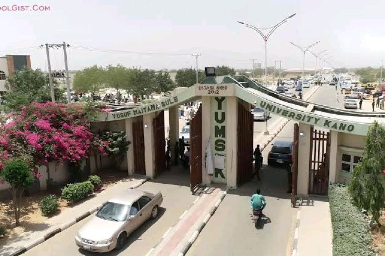 ASUU YUMSUK Slams Autonomy Erosion in Kano Universities, Demands ...
