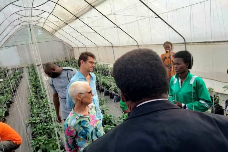 Enugu State Polytechnic to Host Agricultural Training Session for ...