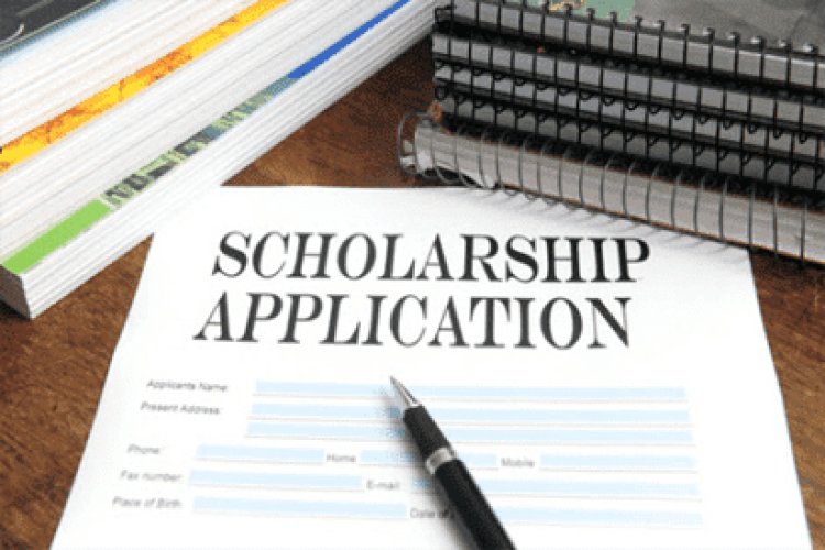 Yobe State Scholarship Board Announces 2025 Scholarship/Bursary ...
