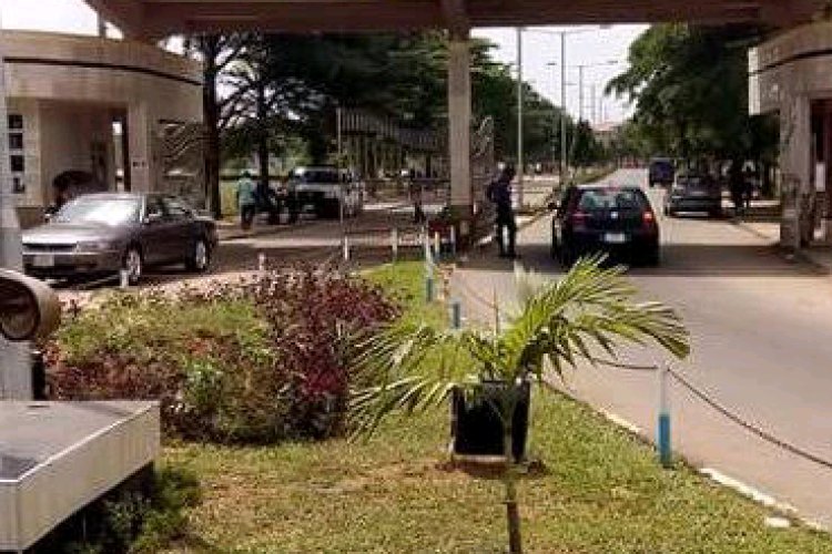 Lagos State University of Education Announces Admission for Diploma and ...