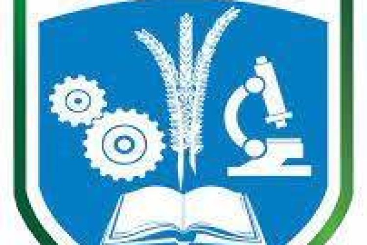 Karl Kumm University Opens Admissions for 2024/2025 Academic Year ...