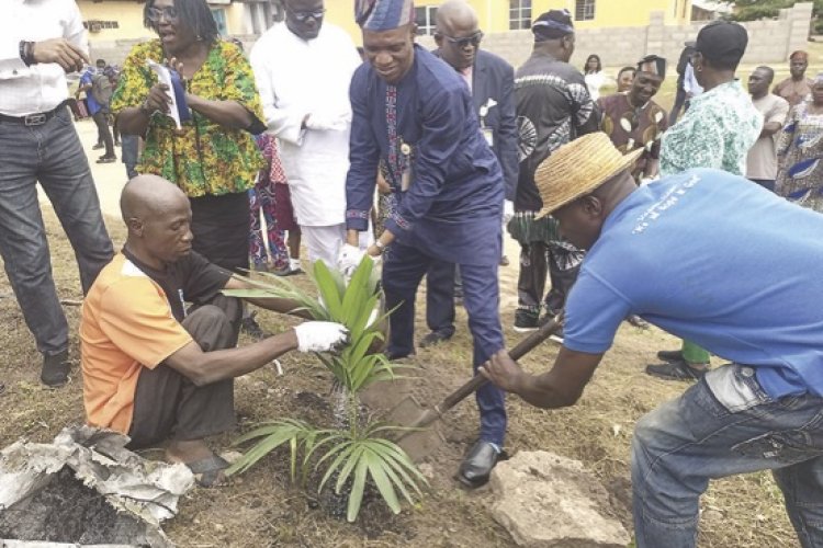 LASUED VC Urges Staff and Students to Plant Trees for Environmental ...
