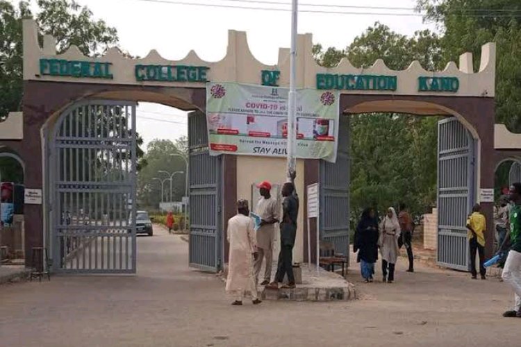 Federal College of Education Kano Announces 2024/2025 Admission for ...