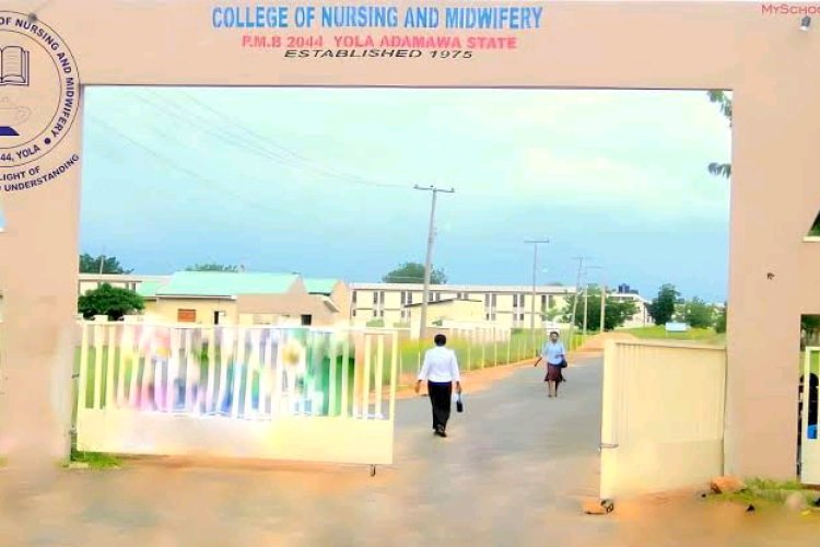 Adamawa State College of Nursing and Midwifery Announces Admission for ...