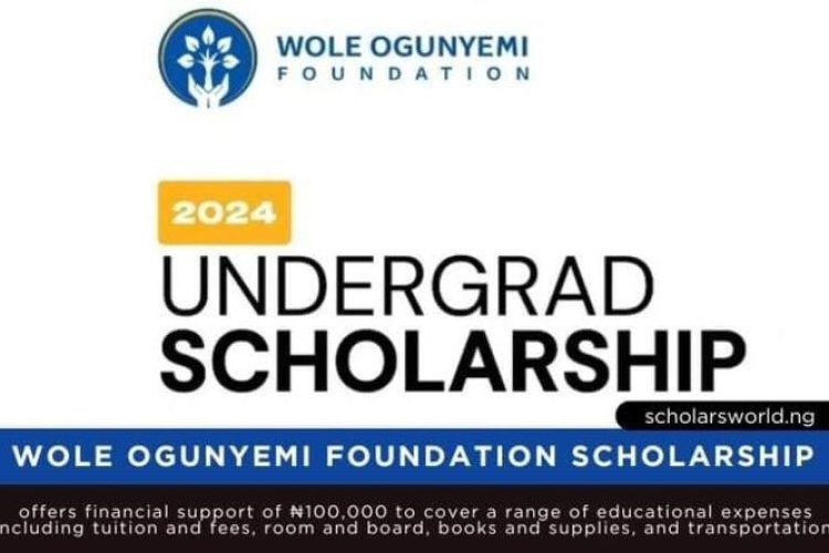 Wole Ogunyemi Foundation Opens Applications for Undergraduate Scholarship Program - Myschoolnews