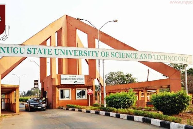 Enugu State University of Science and Technology: A Brief History ...