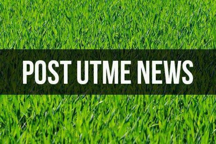 UNN, UNILAG, Others Release Official Cut Off Mark For 2024/2025 ...