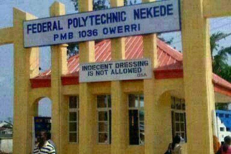 Federal Polytechnic Nekede Releases First Batch of 2024/2025 HND ...