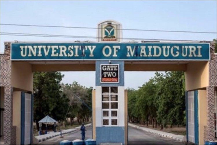 University of Maiduguri (UNIMAID) Post UTME Form for 2024/2025 Academic ...