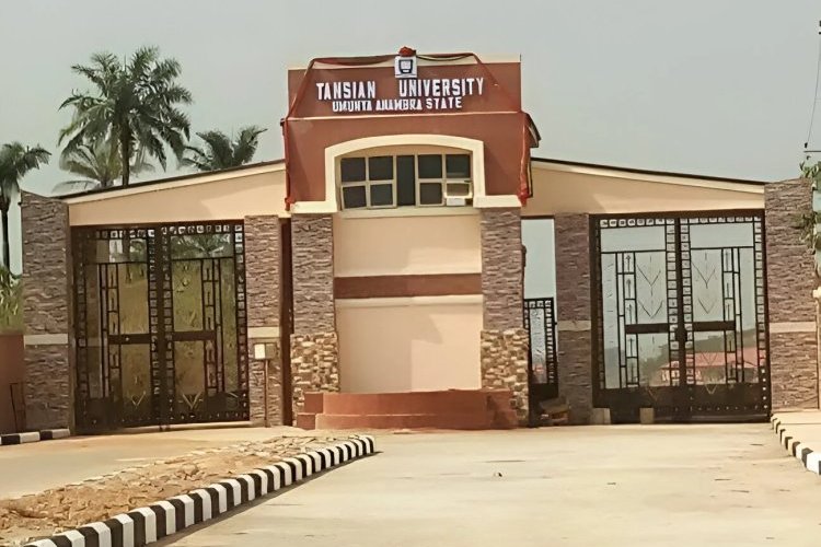 Applications for 2024/2025 Academic Year at Tansian University Still in ...
