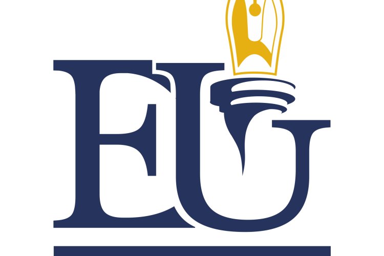 Elizade University and African Team Join Forces to Empower 400 ...