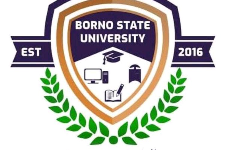 Borno State University Temporarily Closes Due to Flooding - Myschoolnews