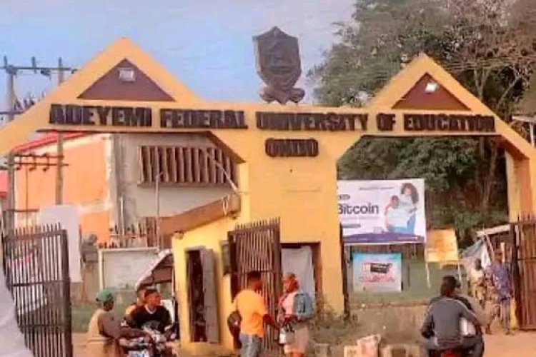 Adeyemi Federal University of Education, Ondo Releases 2024/2025 ...