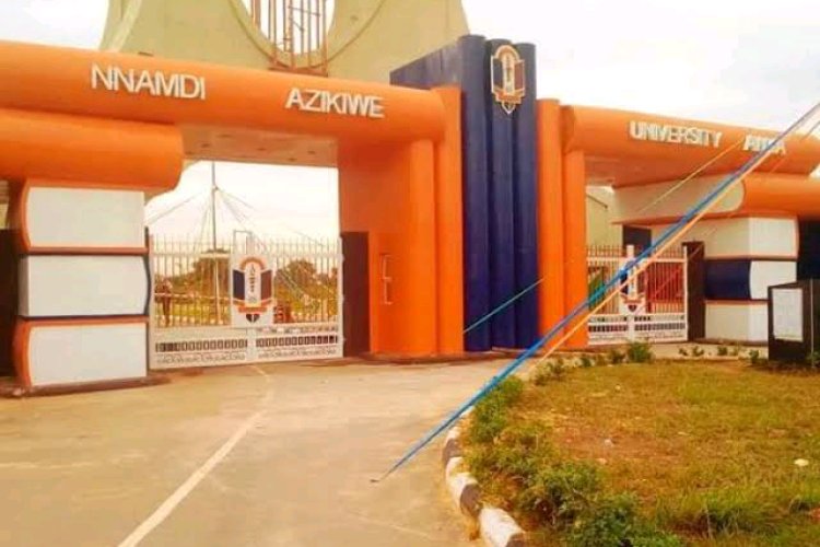 Nnamdi Azikiwe University to Host National Summit on Child Rights in ...