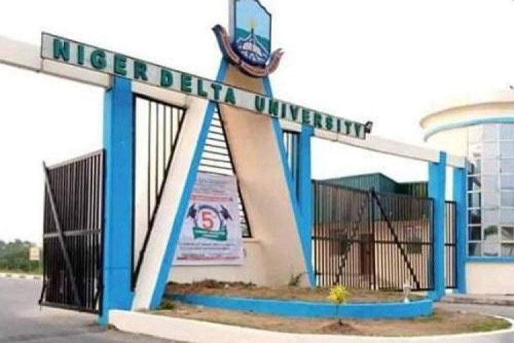 Niger Delta University (NDU) Secures 38th Best University in Nigeria's ...
