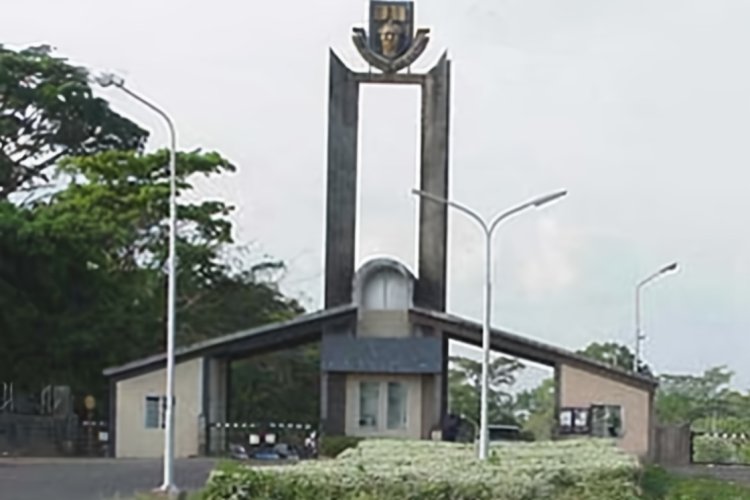 Obafemi Awolowo University Celebrates Athletes’ Success at 11th FASU ...