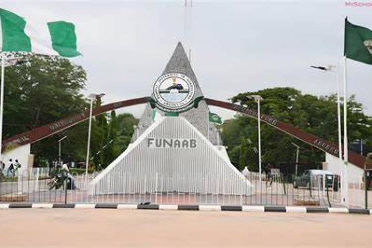 Nimbe Adedipe Library Launches Work-Study Programme to Equip Students ...