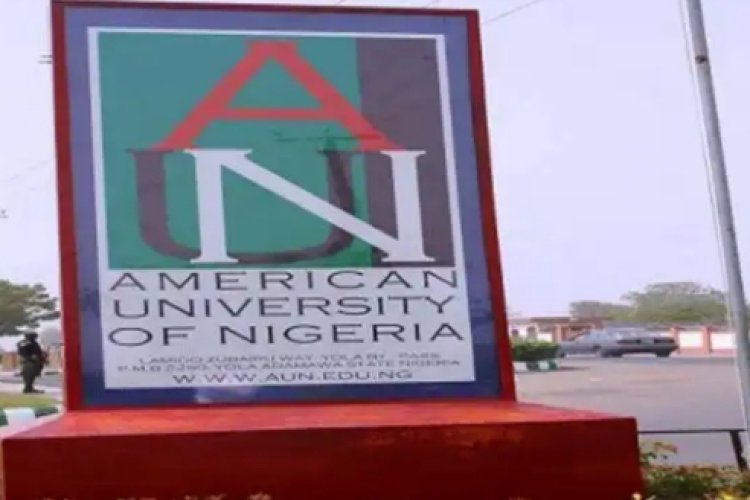 American University of Nigeria Mourns Loss of Interim Dean, Dr. Hassan ...