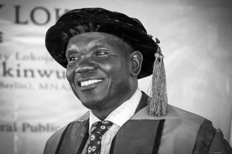 Prof Gbenga Solomon Ibileye of FULOKOJA Honored as Fellow of the ...