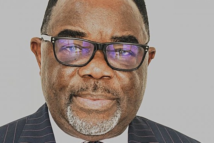 Pan-Atlantic University Promotes Osuji to Rank of Professor for ...