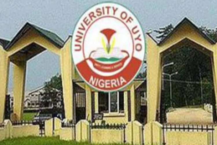 UNIUYO Graduates 174 First-Class Students Among 12,450 at 2024 ...